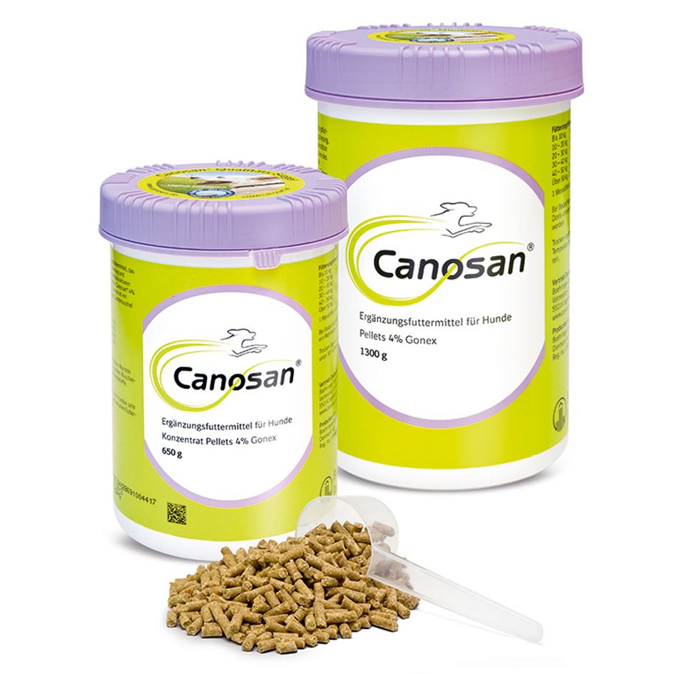 Canosan Hund mit 4% Gonex von Boehringer Ingelheim | Tierarzt Dr. Hölter