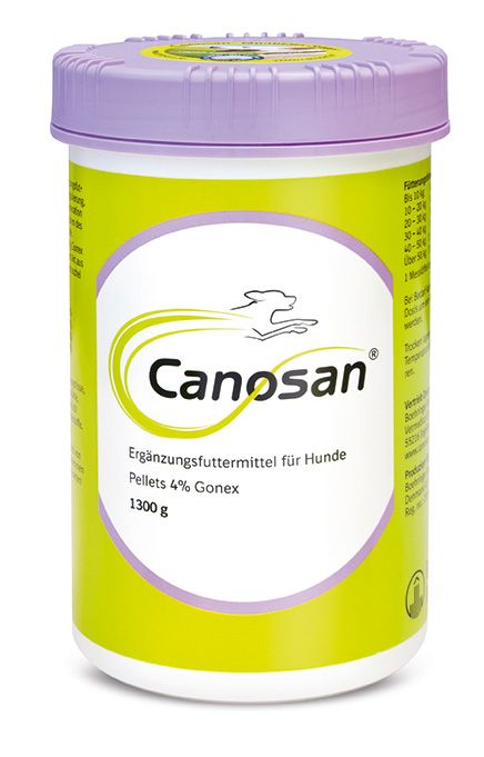 Canosan Hund mit 4% Gonex von Boehringer Ingelheim | Tierarzt Dr. Hölter