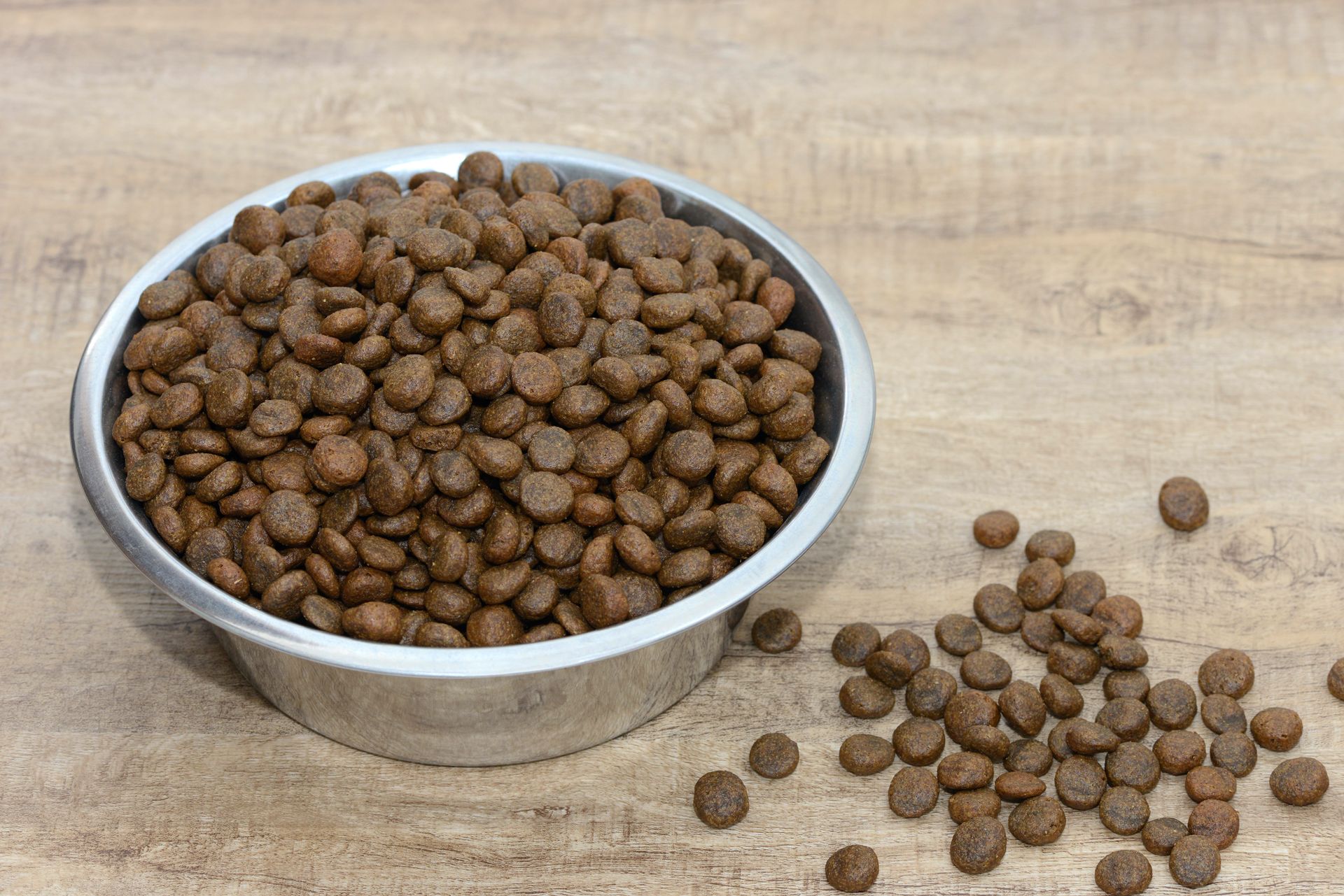 Futtermittelallergien und -unverträglichkeiten bei Hunden | Tierarzt Dr ...