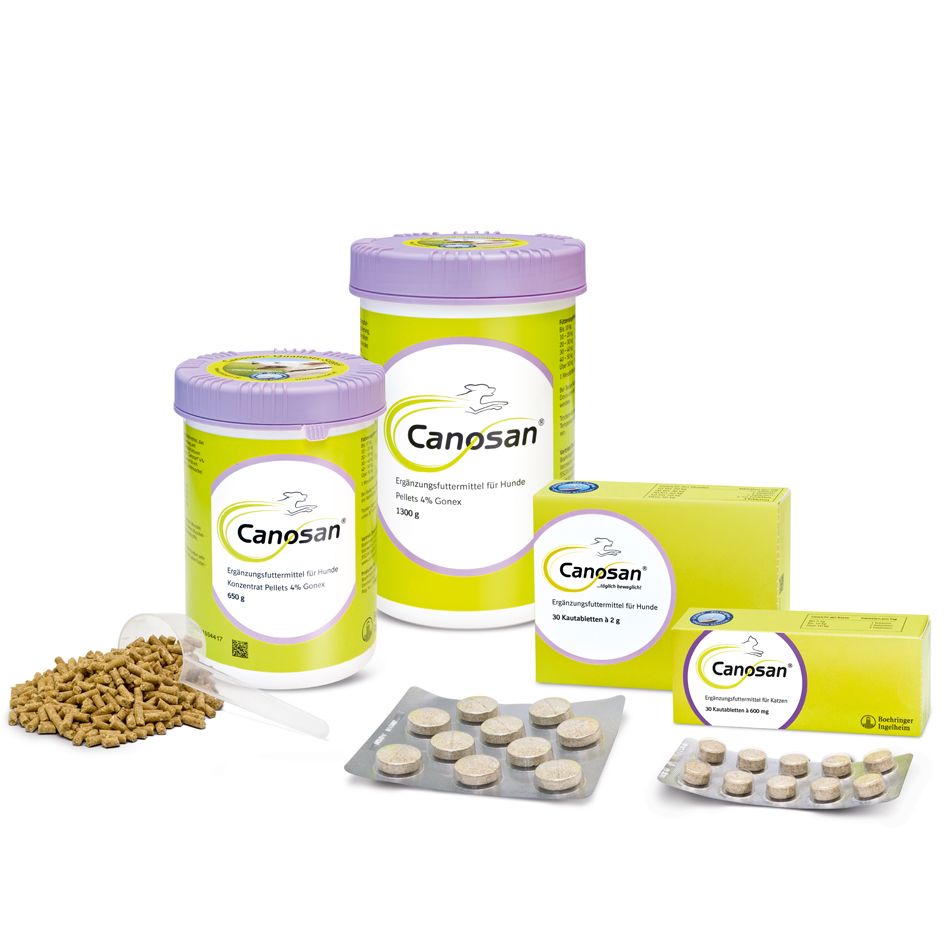Canosan Hund mit 4% Gonex von Boehringer Ingelheim | Tierarzt Dr. Hölter
